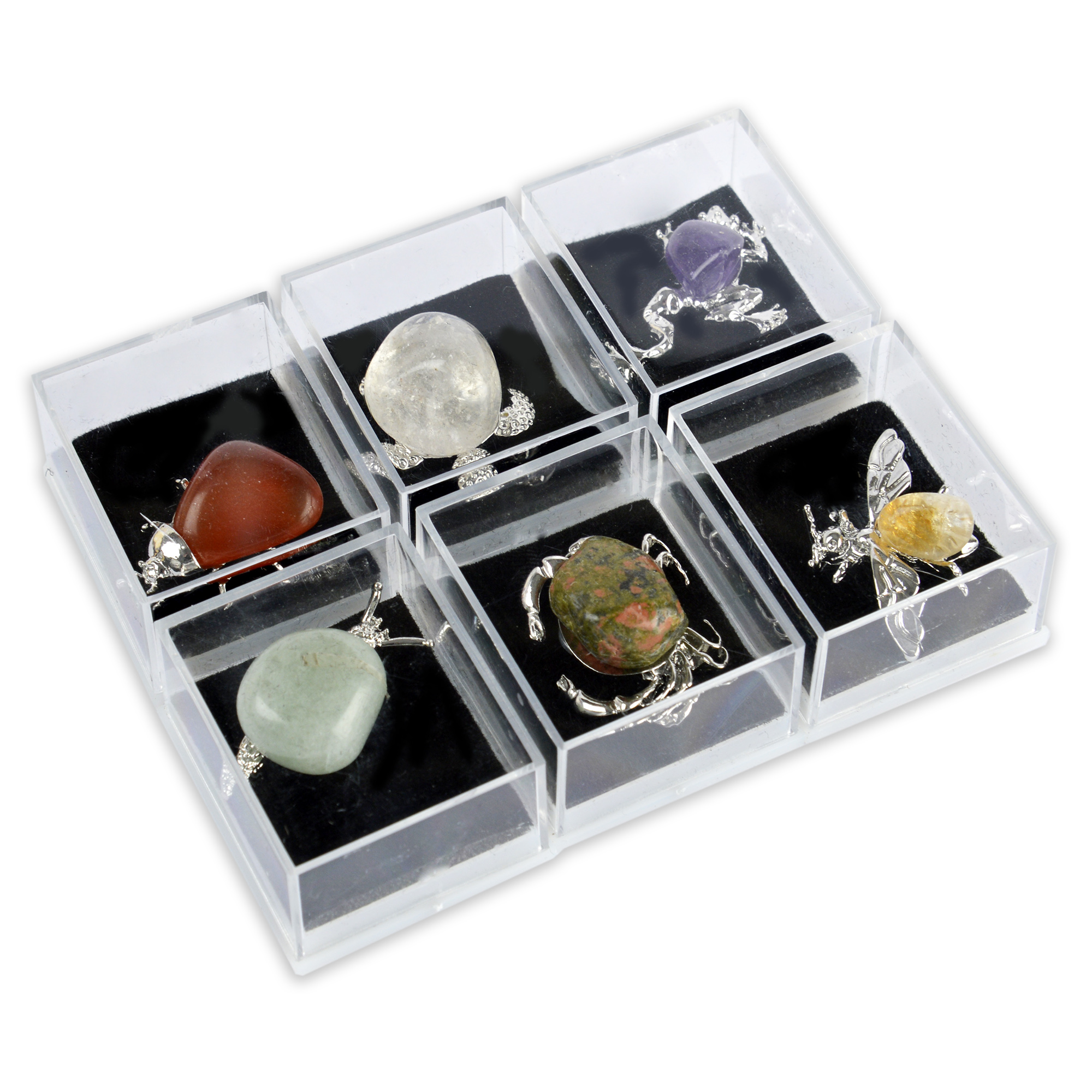 Gemstone Animals Pack - British Fossils