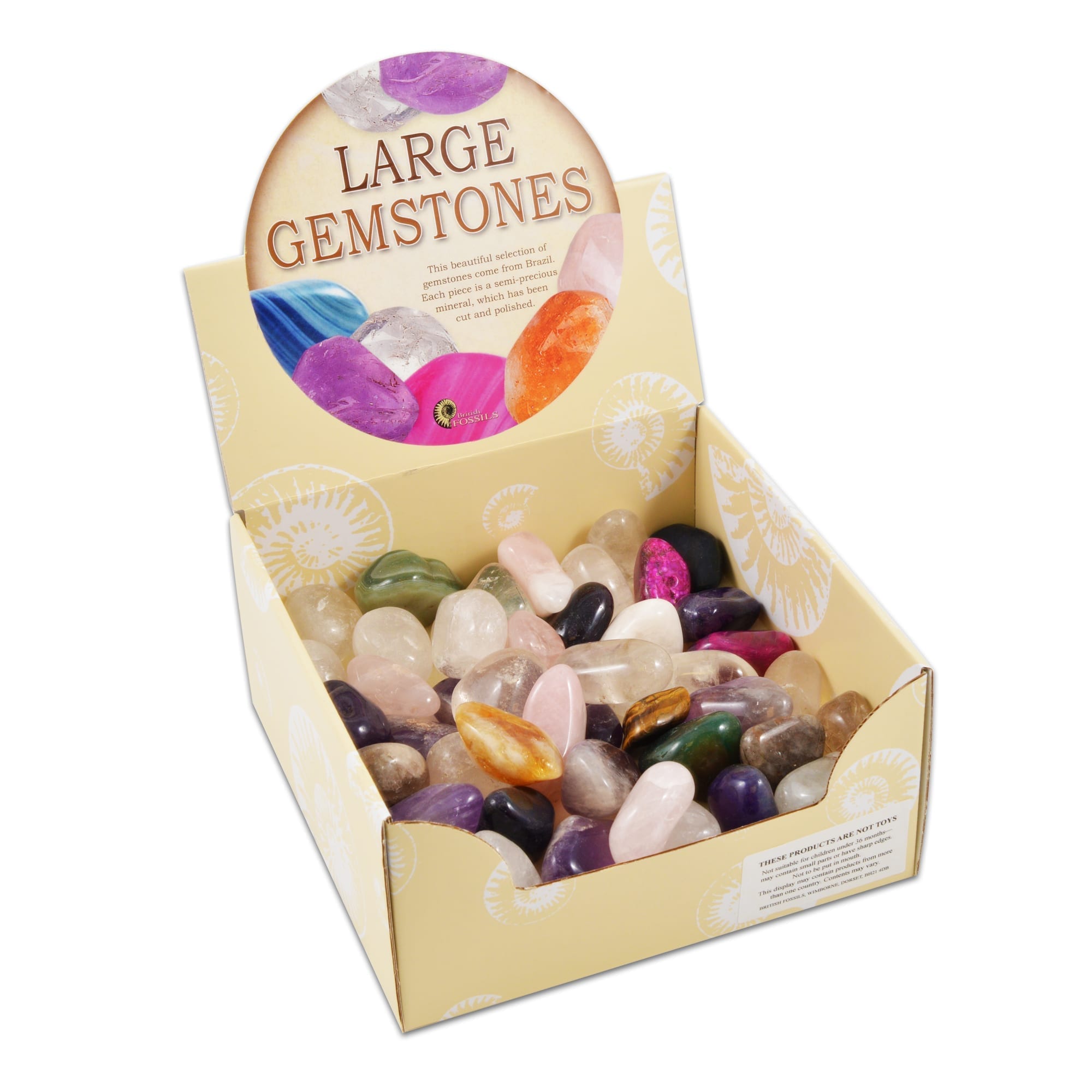 Large Gemstones - British Fossils