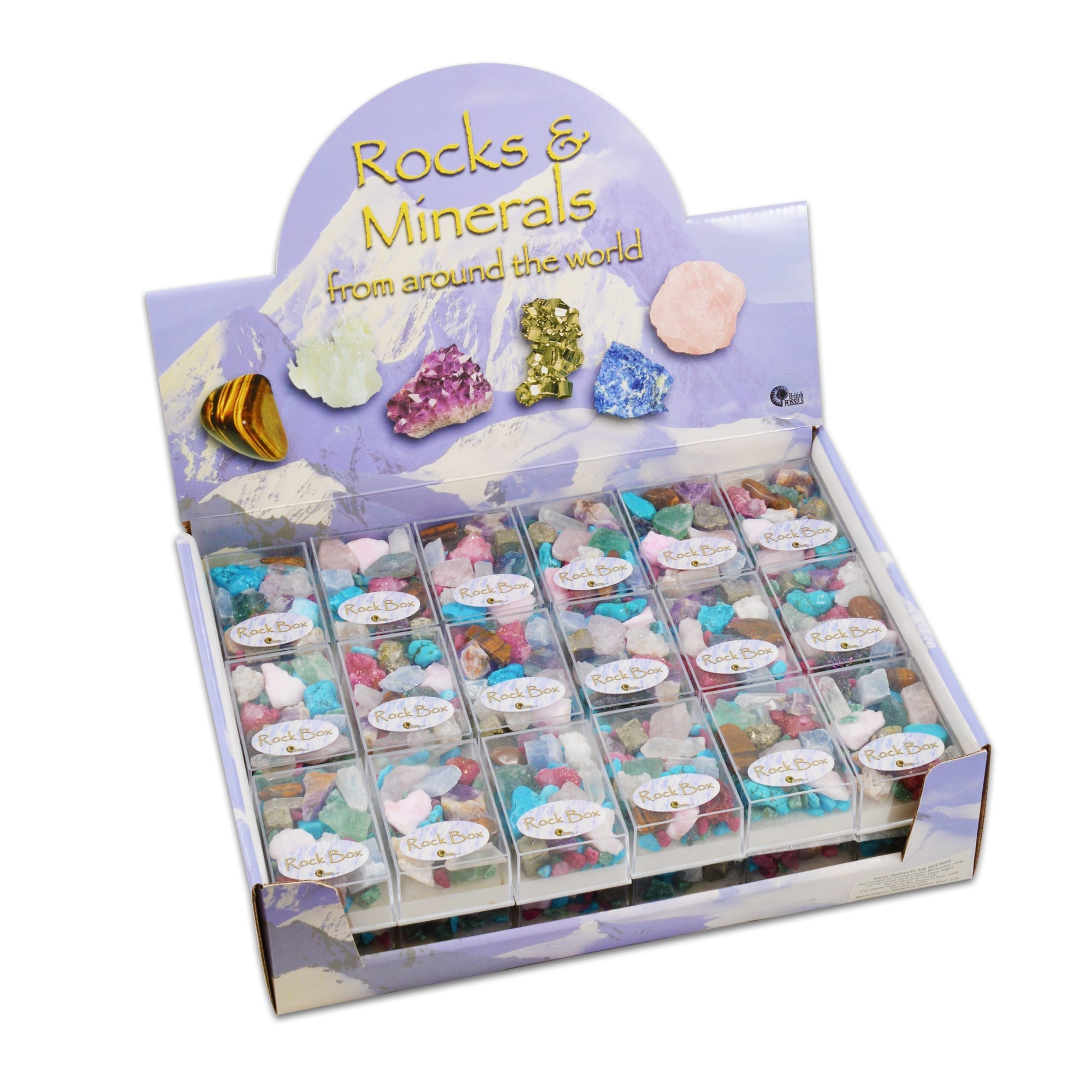 Rock Box Pack - British Fossils