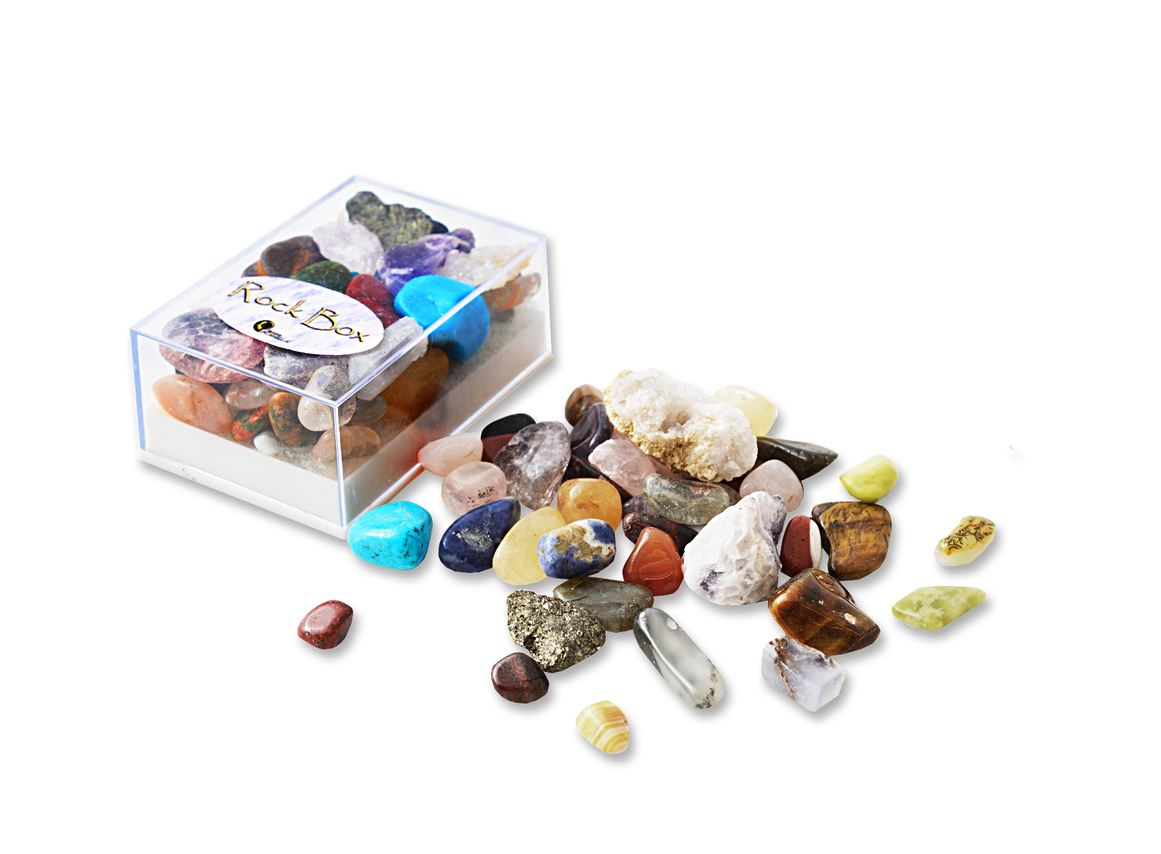 Buy Rock Collection Box Pack | British Fossils