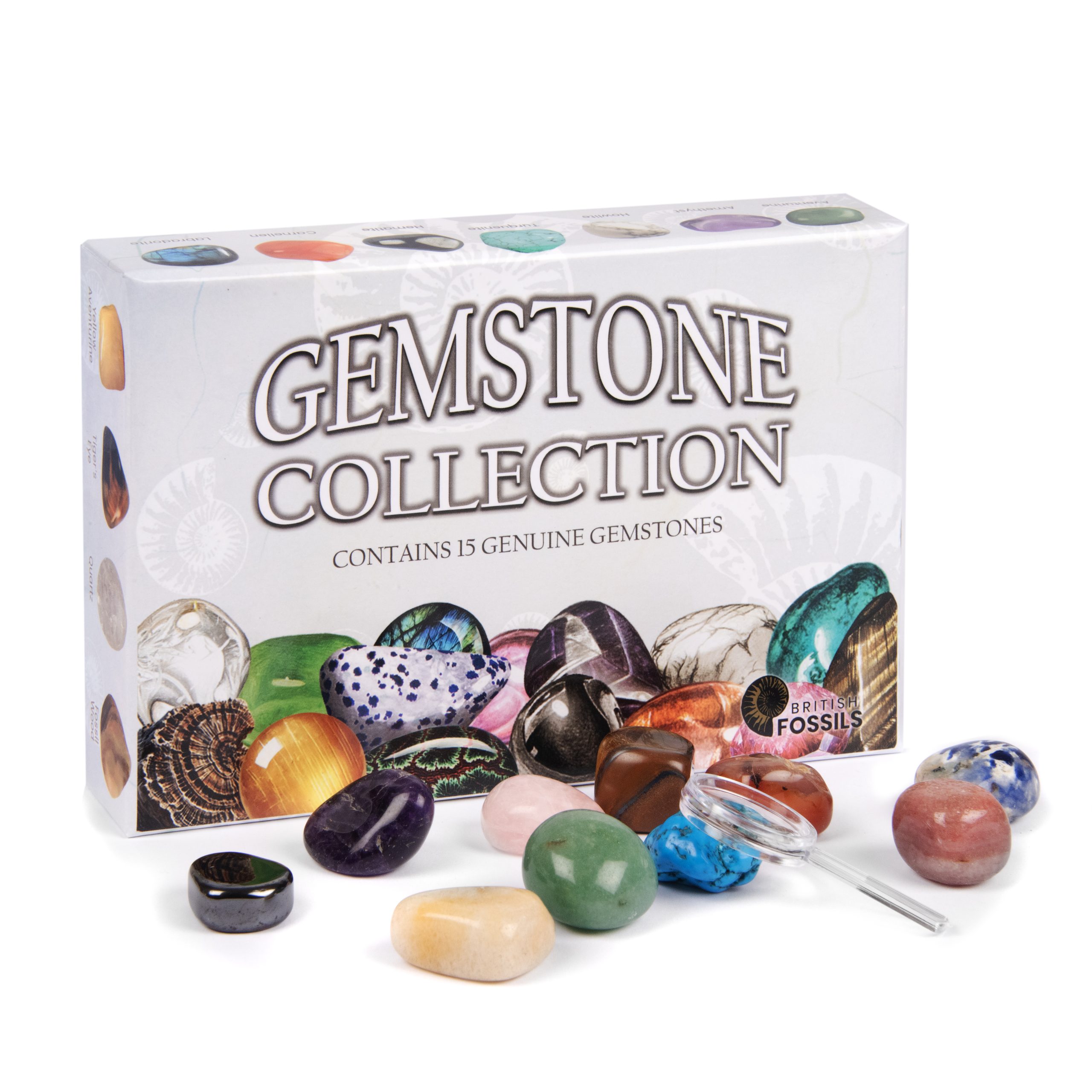 Gemstone Collection Kit Pack - British Fossils