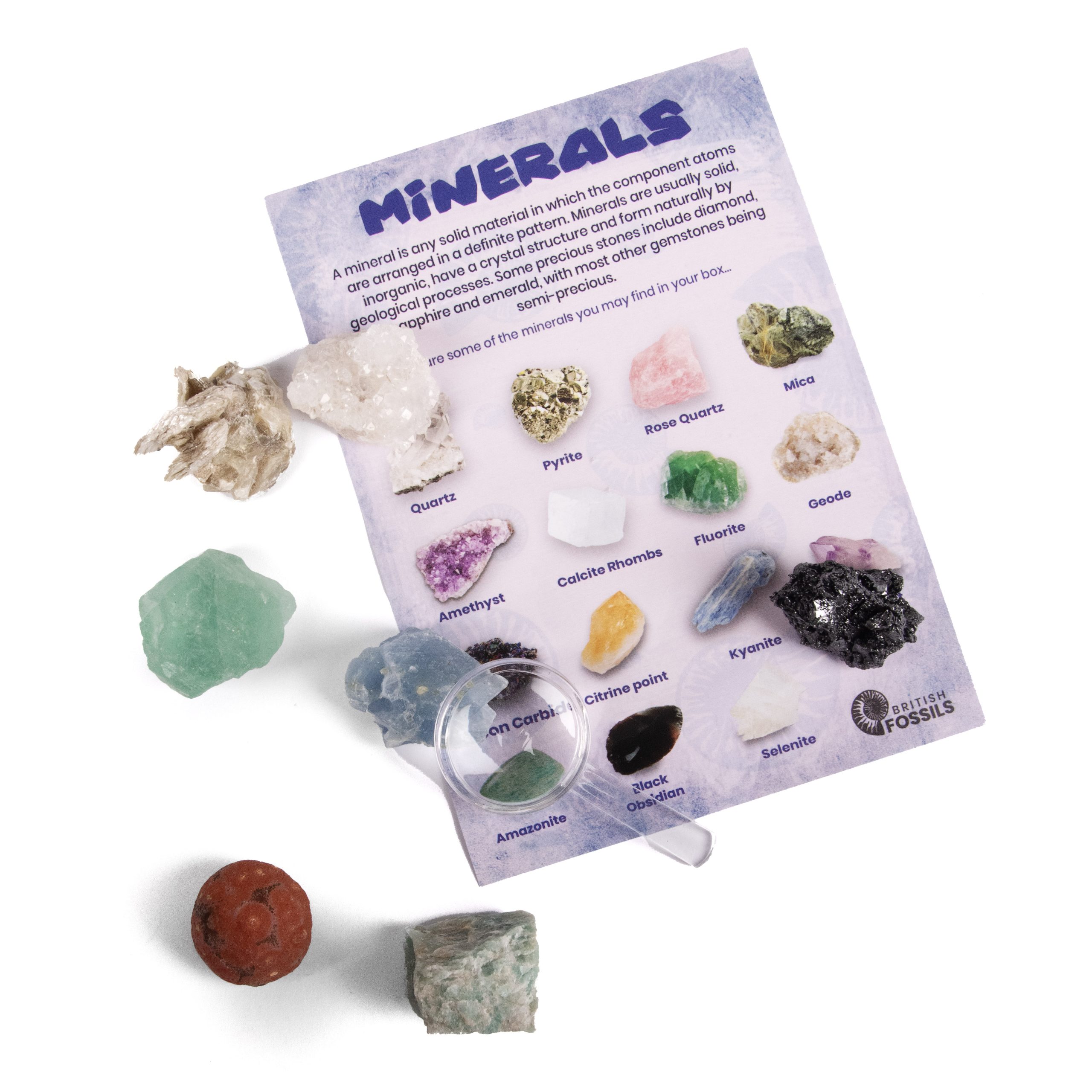 Mineral Collection Kit Pack - British Fossils