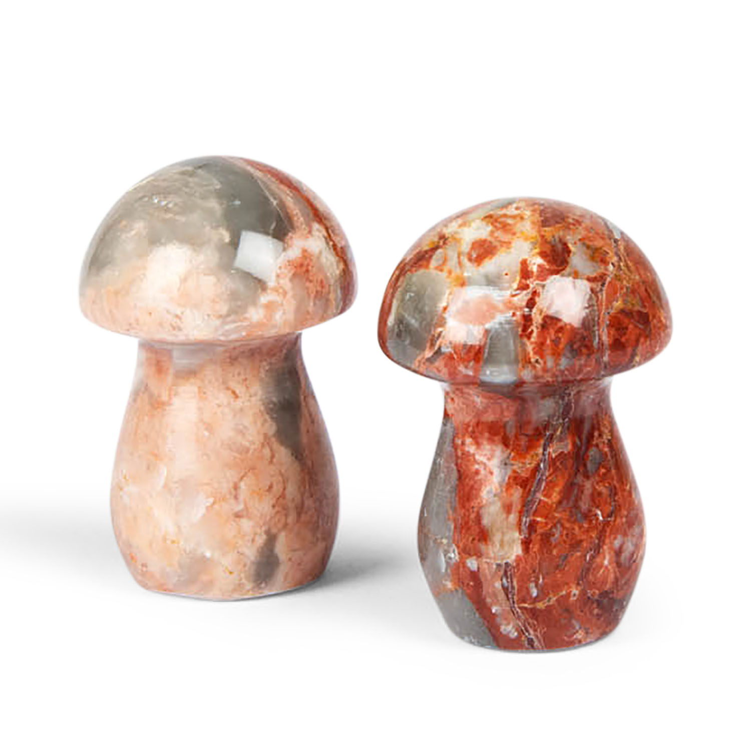Mixed Marble Mushrooms - British Fossils