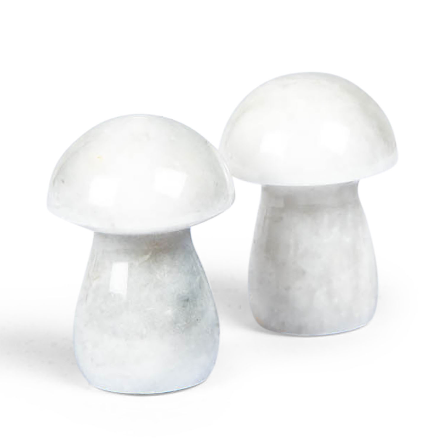 Mixed Marble Mushrooms - British Fossils