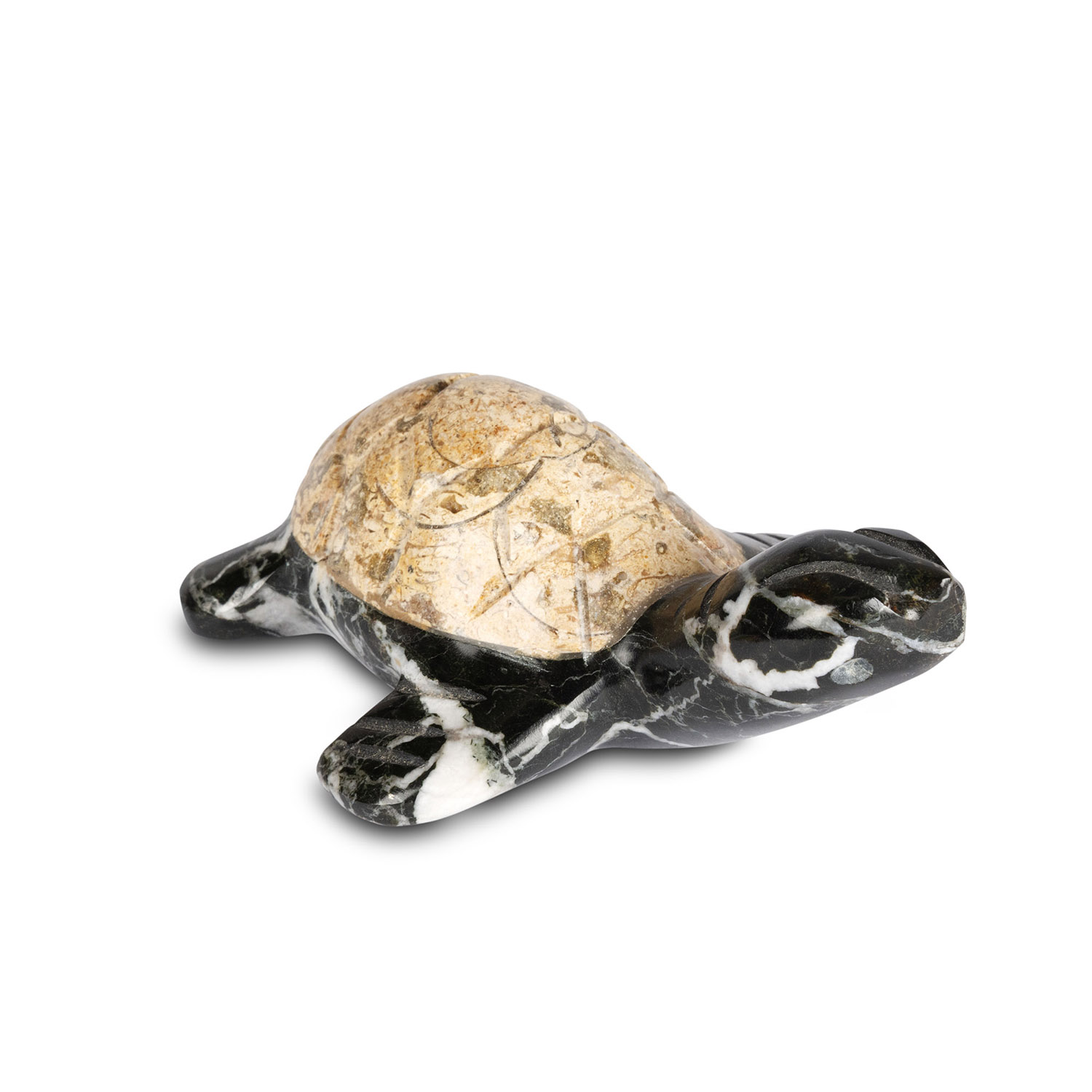 3" Two Tone Marble Turtle - British Fossils